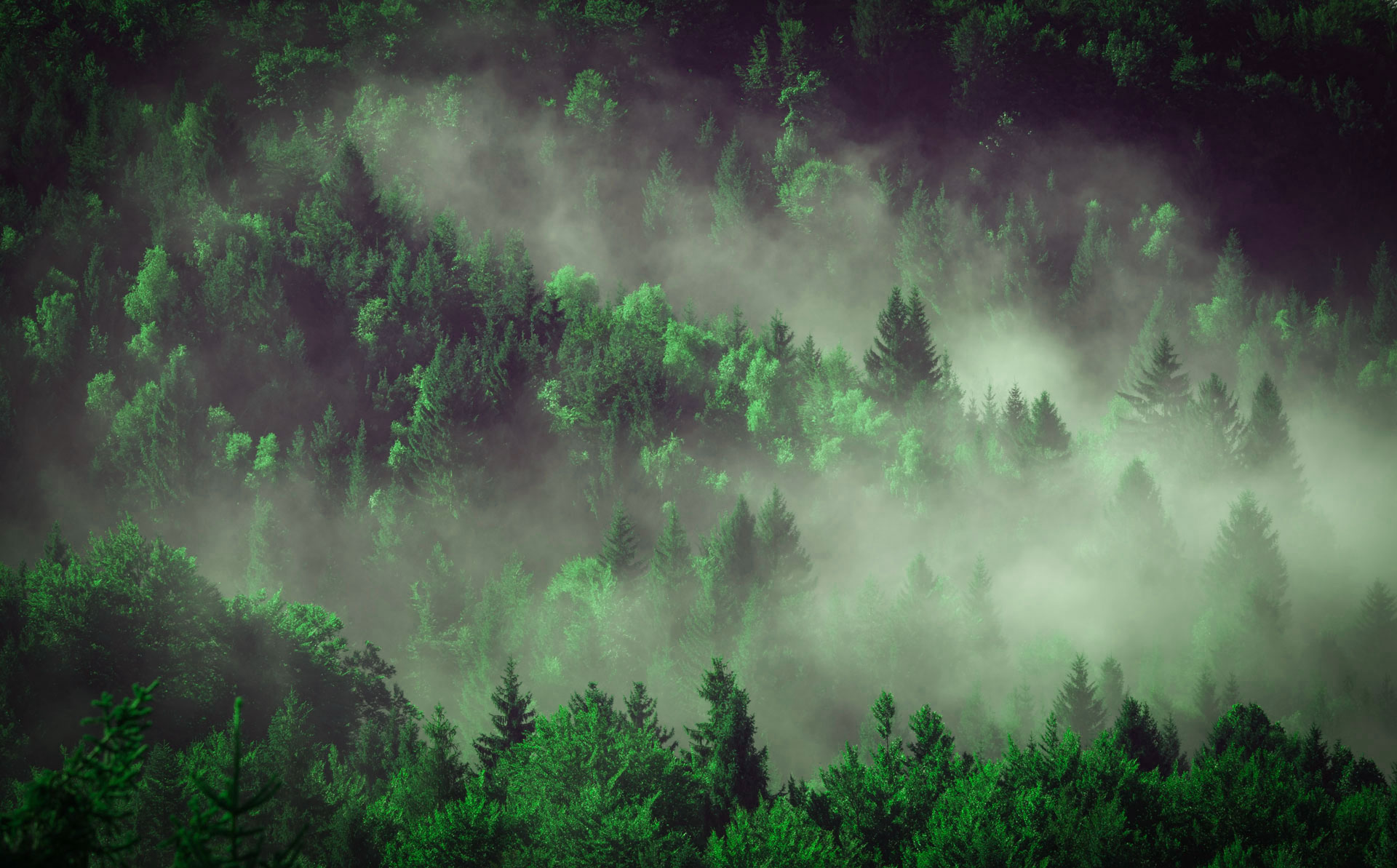 Environment & Climate - Our environmental policy for more ...